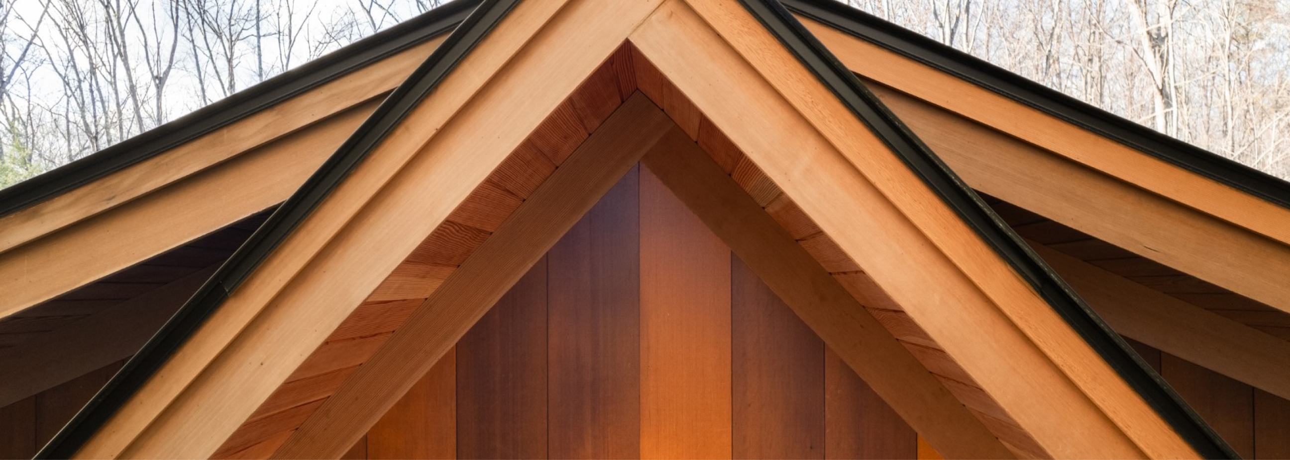 Icon | Timber Trading Group