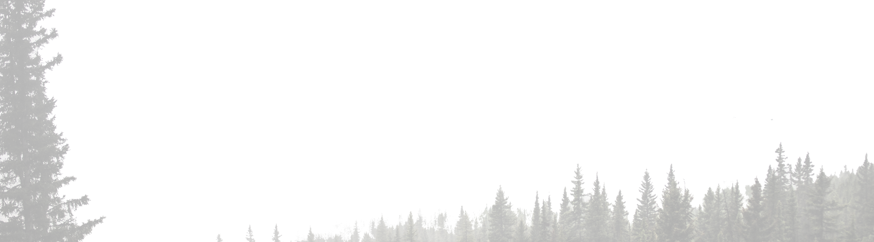 Timber Trading Group | Premier Lumber Company